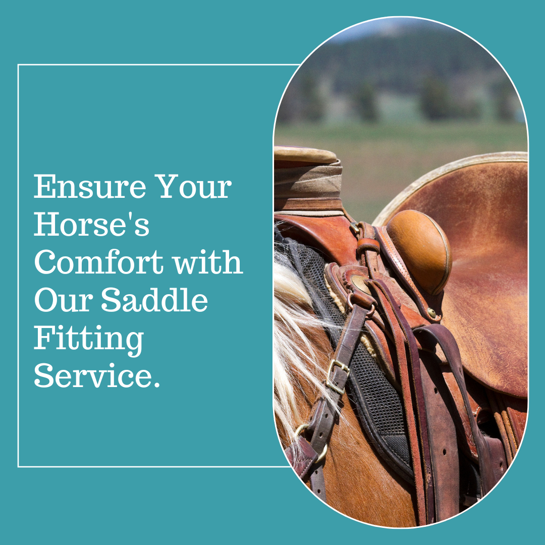 In person saddle fitting consultation – Cowboy Specialist