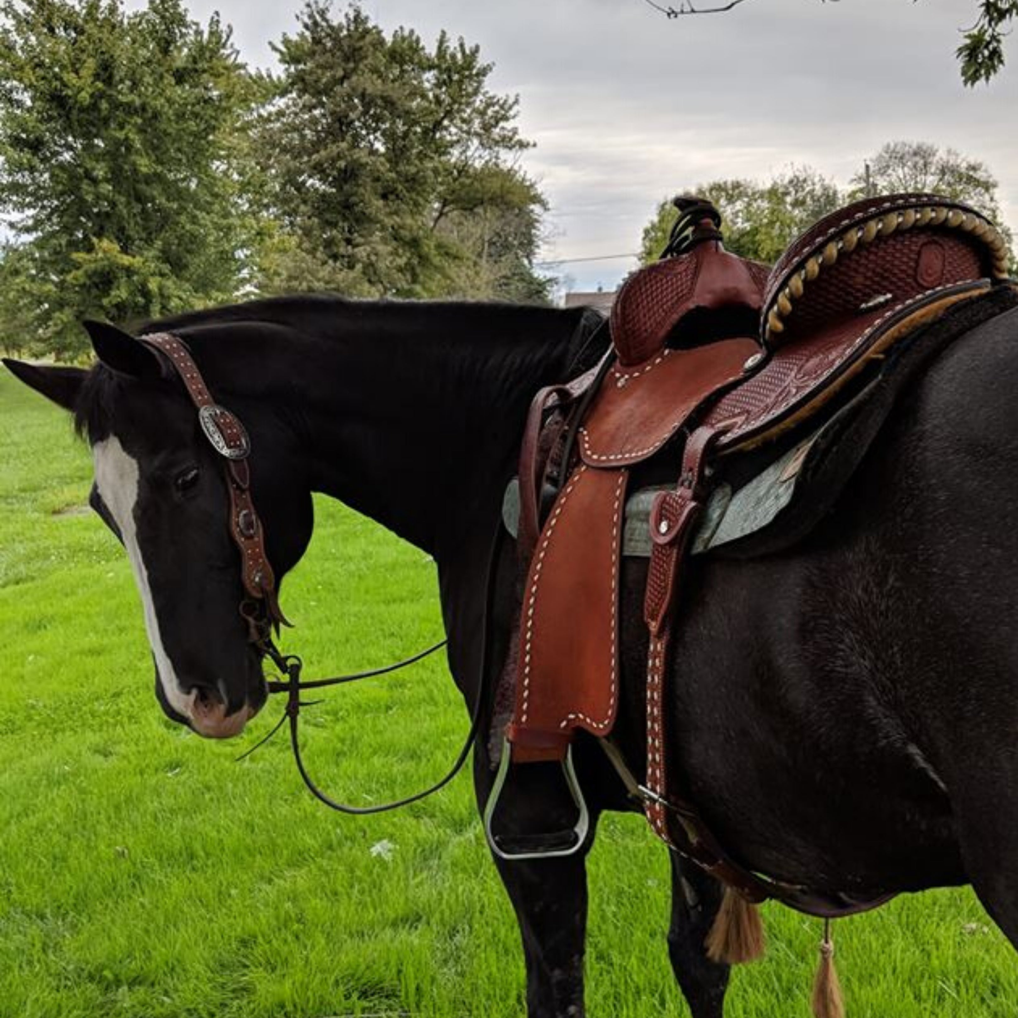 Tack – Cowboy Specialist