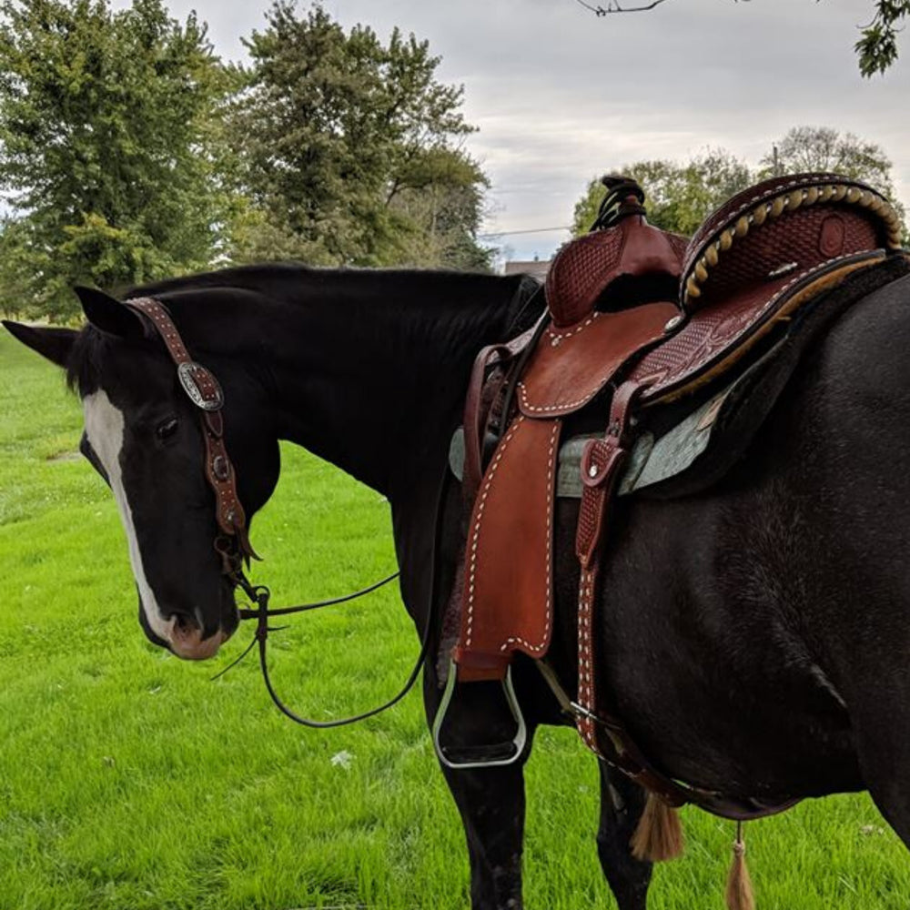 Shop – Cowboy Specialist